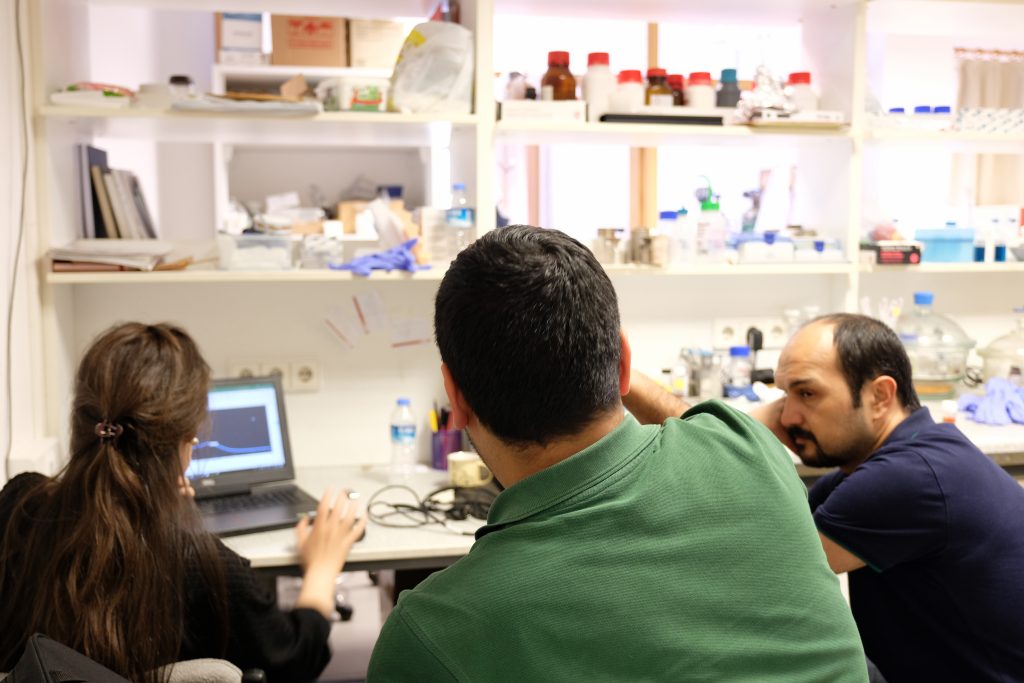 Principle Investigator – KARADAS RESEARCH GROUP